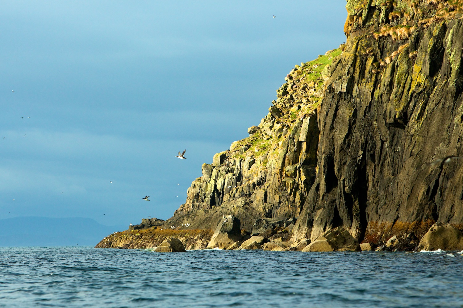 Navigation à la voile dans l’archipel des Shiant et observation de la ...