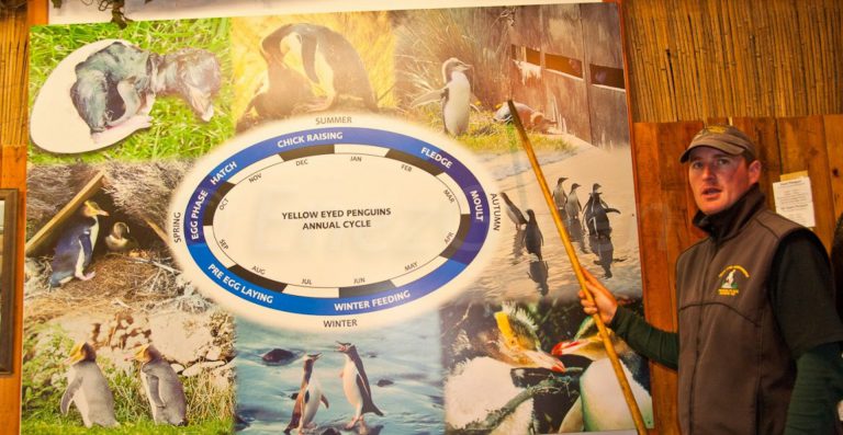 New Zealand: DOC rangers in the process of scarcity! • EnezGreen