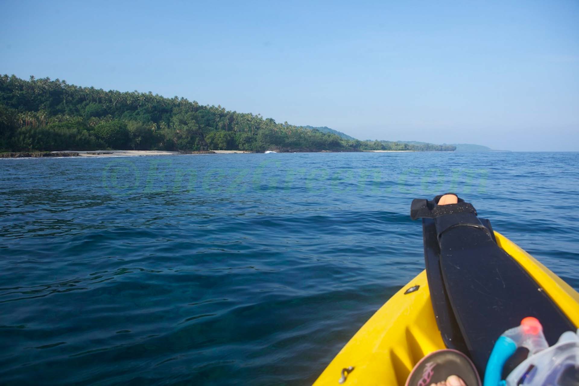 Randonnée palmée au tombant de Tongoa • EnezGreen