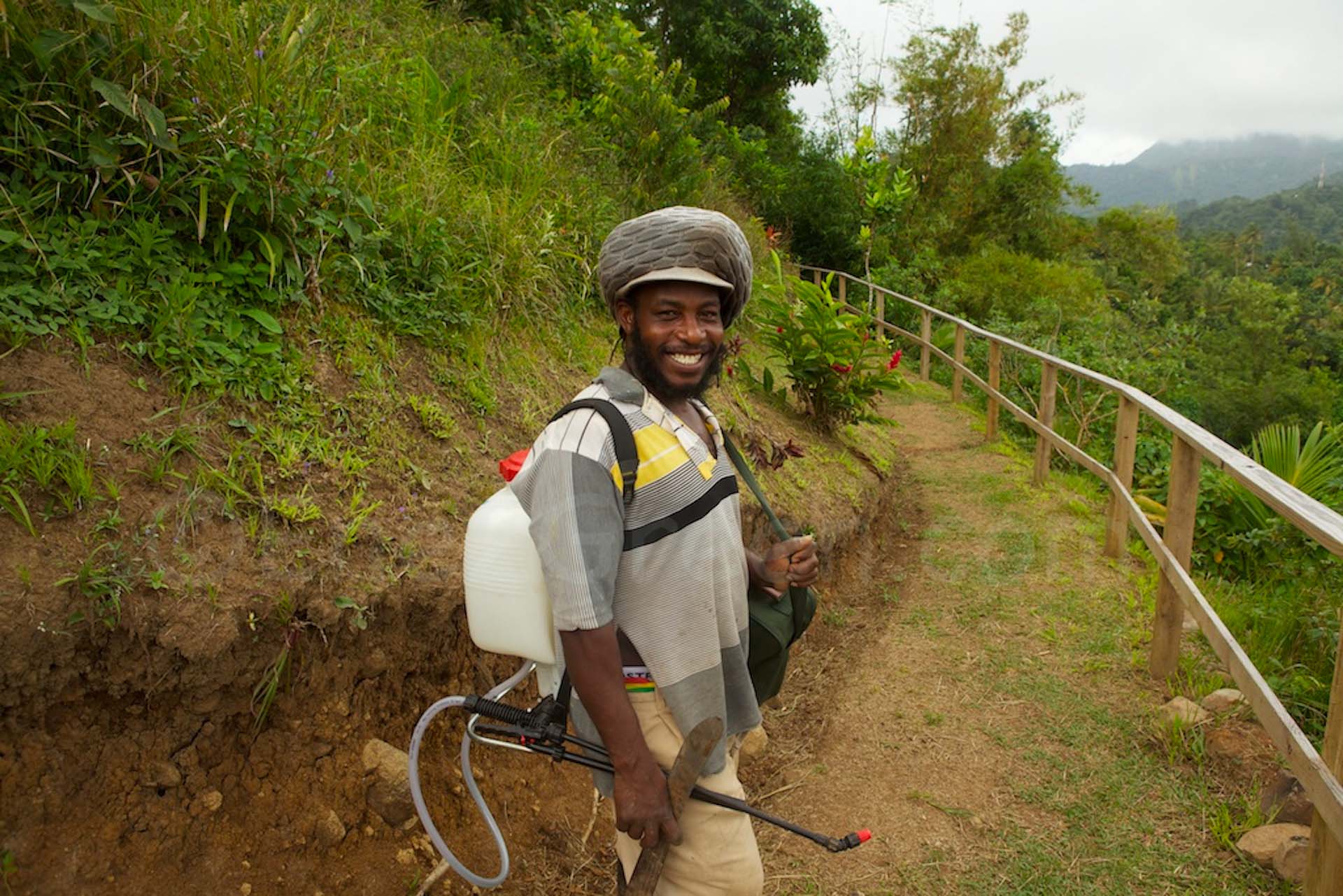 Guided hiking tour with Tet Paul Nature Trail • EnezGreen