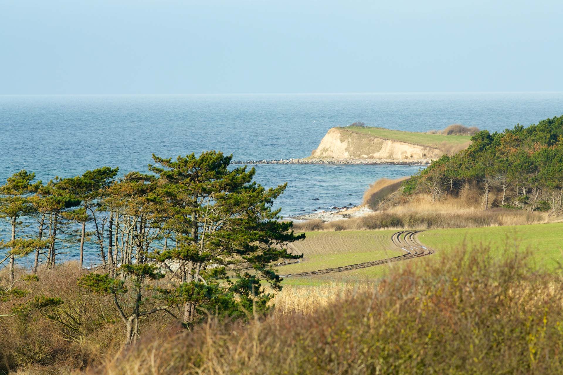 Samsø nature & cultural excursions to discover • EnezGreen