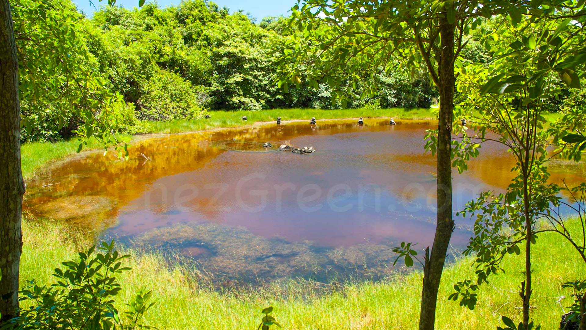 Kayak Tour on Amber Island • EnezGreen